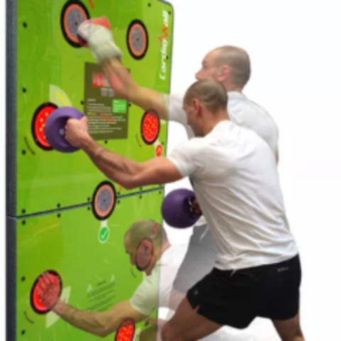 CardioWall Portrait Upright Target Trainer
